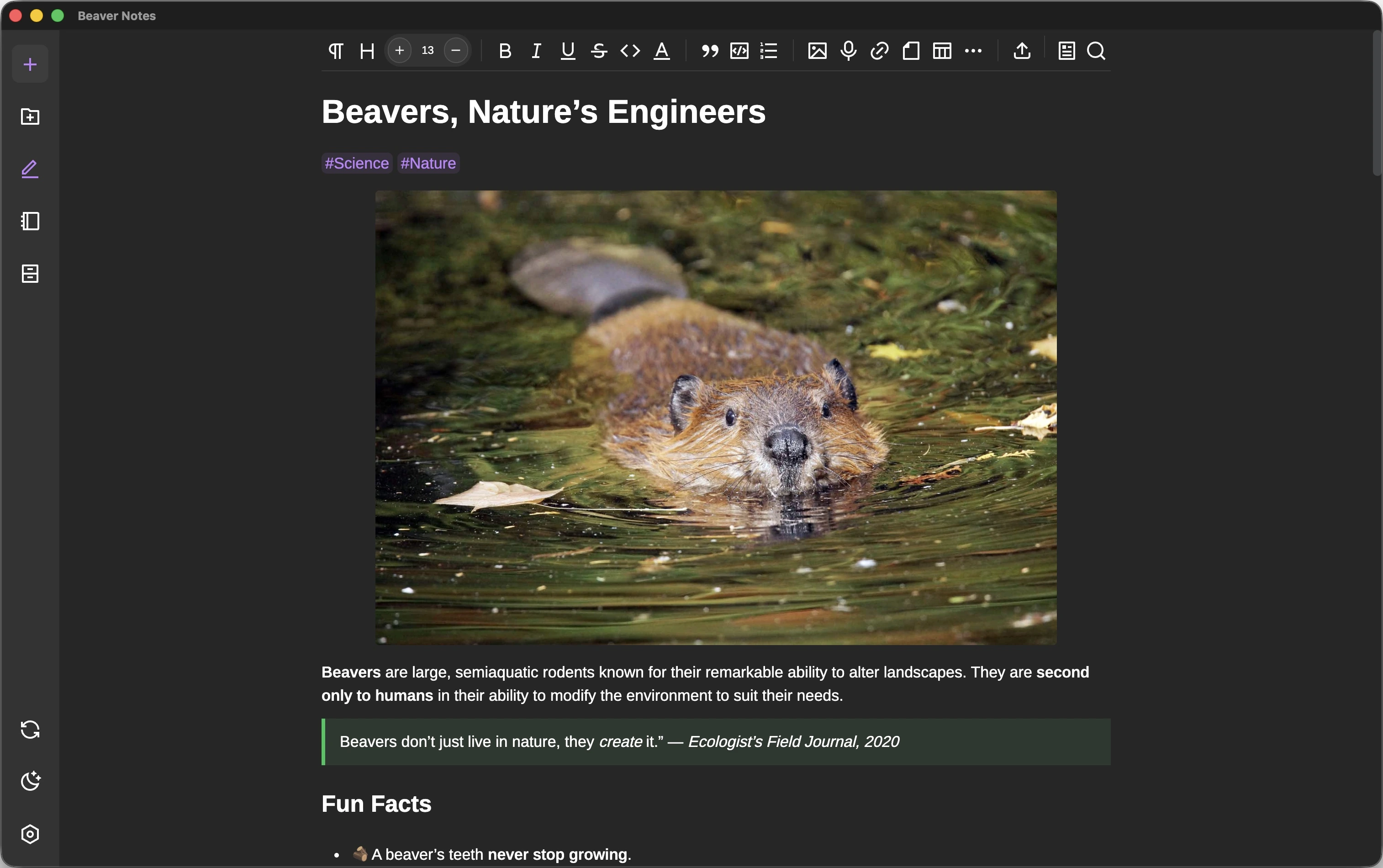 Beaver Website